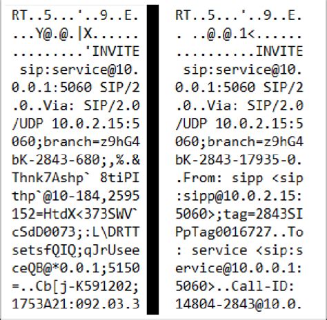 two sip packets one with a garbled payload left download