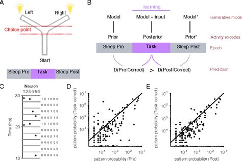 Figure 1 From Task Learning Reveals Signatures Of Sample Based Internal