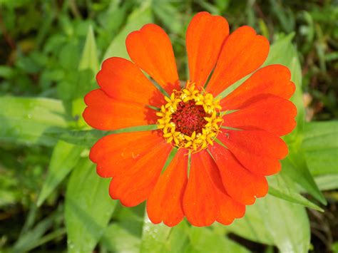 აგვისტოს მზე Anasun Kitios Flickr