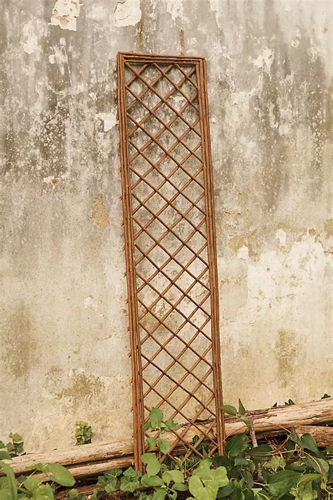 Rectangle Willow Trellis Set Of 2 Anthrohome