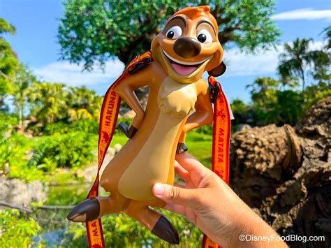 Timon
