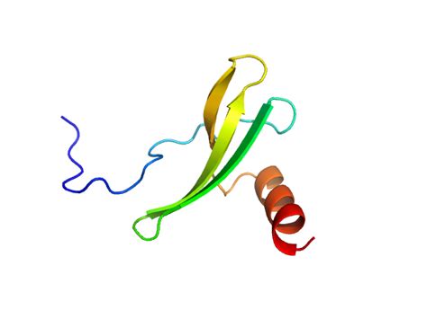 Sasdrg9 Stromal Cell Derived Factor 1 Cxcl12