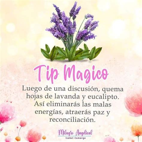 Tips Mágicos 🪄🌛🌝🌜🪄 Wicca Y Paganismo Amino