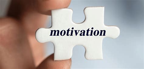 8 Best Nootropics For Motivation In 2024