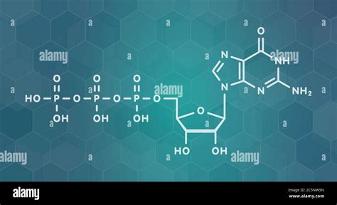 Guanosine Triphosphate Gtp Rna Building Block Molecule Also Used As Energy Transport Molecule