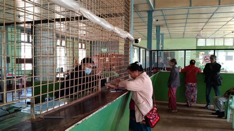 နမ္မတူမြို့နယ် မြန်မာ့စီးပွားရေးဘဏ်၌ အငြိမ်းစားနိုင်ငံ့ဝန်ထမ်းများ၏ ပင