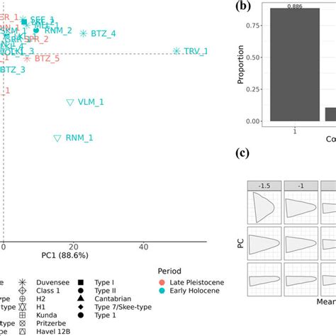 A Pca Plot Of Barbed Point Tip Shape The Point Shapes Contain The