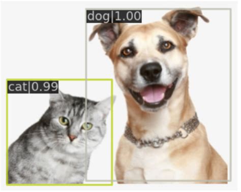 Illustration Of Hbb Object Detection Download Scientific Diagram