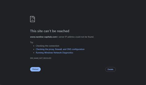 Nardine Capital — правильный выбор брокера основные шаги Infoscam