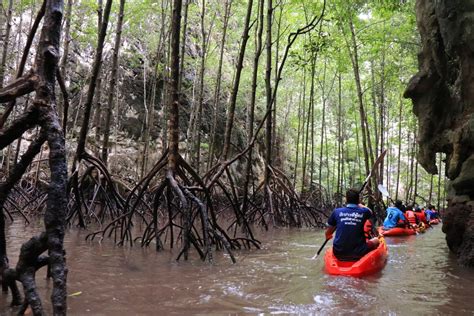 탄소상쇄 한국경제