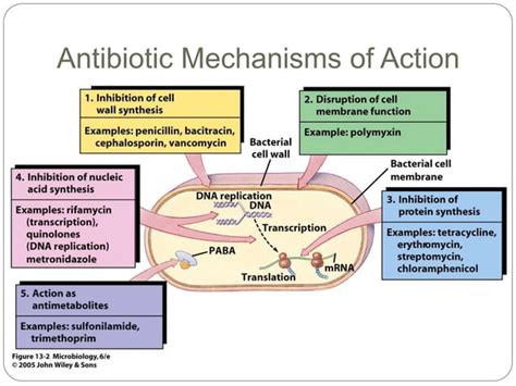 Antibiotic Susceptibility Of Multidrug Resistant Nosocomial Bacteria Acinetobacter Baumannii Pptx