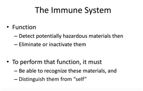 Antigen And Antibody Structure And Function Flashcards Quizlet
