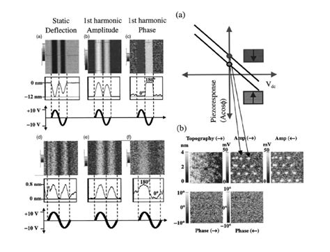 Principle Of Ferroelectric Domain Imaging Using Atomic Force Microscope