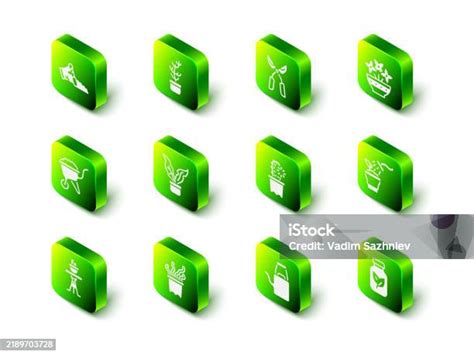 냄비에 이국적인 열대 식물을 설정 원예 수제 가위 꽃병 스프레이 비료 병 선인장 Peyote 물뿌리개 및 아이콘 벡터 0명에 대한 스톡 벡터 아트 및 기타 이미지 Istock