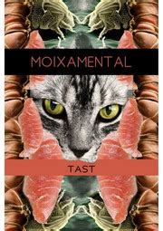 Moixa Mental Tast A Negre Joan CiberSheep Marga Pallicer Mistress