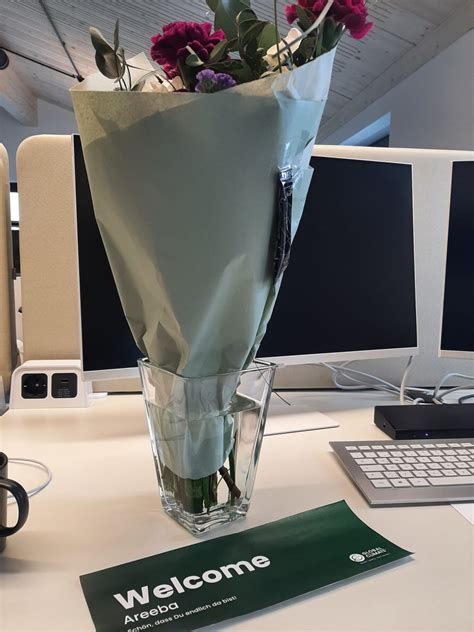 Areeba Ilyas Qureshi On Linkedin Im Thrilled To Share That I Have Started A New Position As