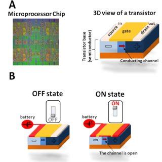 PDF Nucleic Acid Computing And Its Potential To Transform Silicon Based Technology