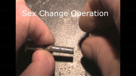 Transgender Sex Bolts YouTube