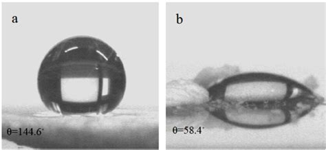 Contact Angle Of Sio2 Ag Of Sio2 Ag A Hydrophobic B Hydrophilic Download Scientific Diagram