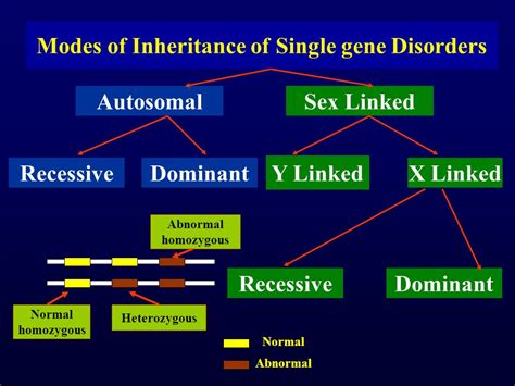 Cat Modes Of Inheritance
