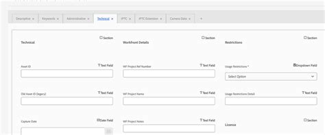 Best Practices Assets Metadata Schema Adobe Experience Manager Assets