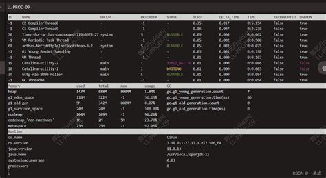 Jvm技术文档 Arthas 线上内存问题定位