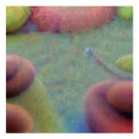 Four Batches Of Adversarial Patches Generated By Our Work Download Scientific Diagram