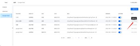 Google Merchant Center Feed Fecify 帮助文档