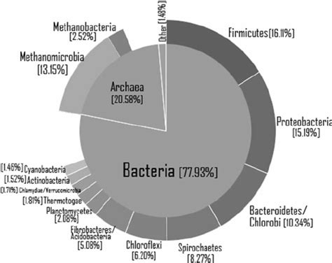 Taxonomic Classification Of Organisms In Metagenome S3 Based On Protein