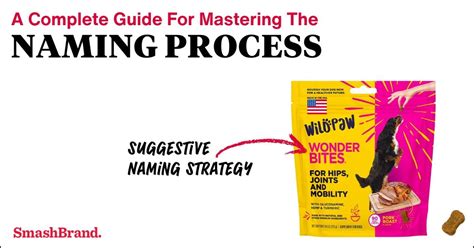 A Complete Guide For Mastering The Naming Process