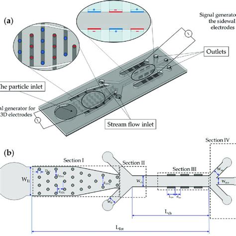 A Schematic Of The Microfluidic Device B Top View Of The Download Scientific Diagram