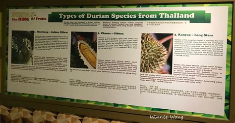 The King Of Fruits Durian Museum