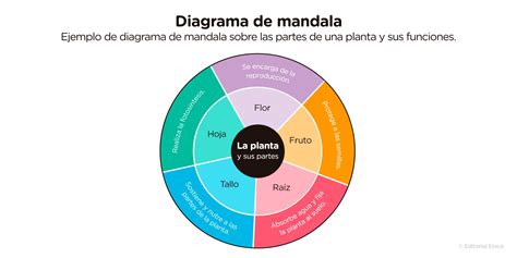Organizadores Gráficos Qué Son Tipos Usos Y Ejemplos