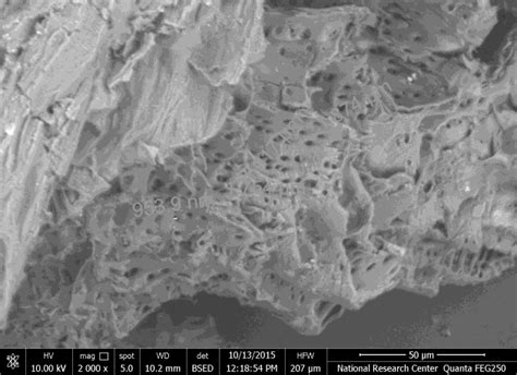 A Sem Showing Particle Size For Corn Cob B Sem Showing Pore Size For