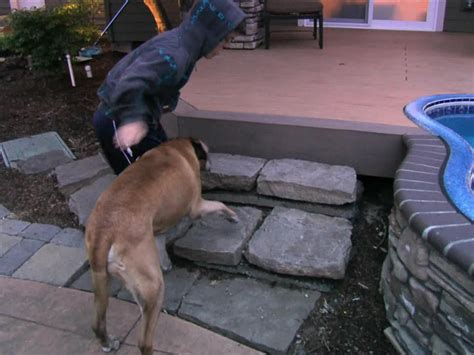 Prime Video Una Piccola Grande Famiglia Stagione