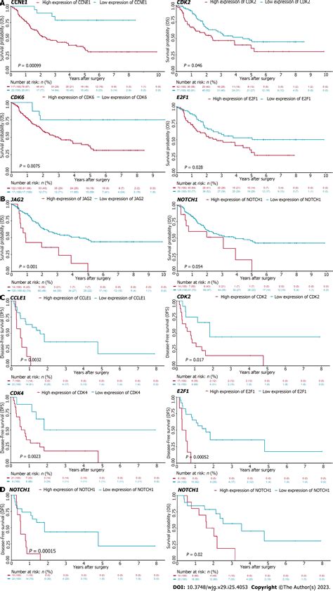 Molecular Profiling Reveals Potential Targets In Cholangiocarcinoma