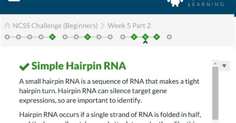 Grok Coding Simple Hairpin RNA