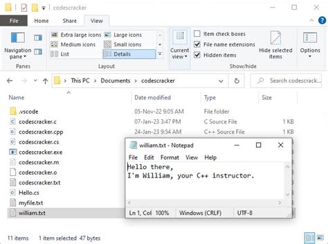C File Pointers And Random Access