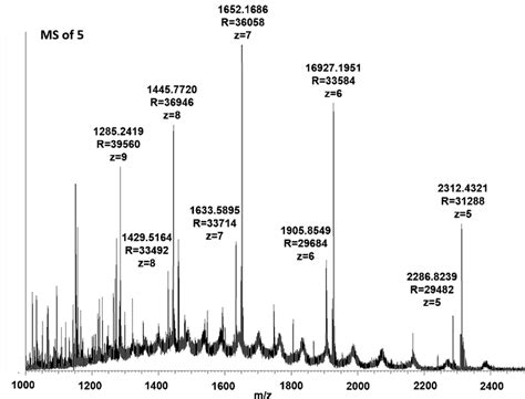 Mass Spectrum Of Peak 5 In Region 2 In Tic Chromatogram Reported In Download Scientific Diagram