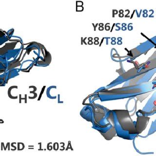 Structural Alignments Using The Align Function Of PyMOL A