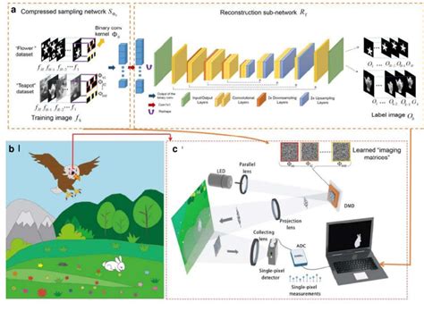 System Design For Object Imaging Which Inspired By The Visual Download Scientific Diagram