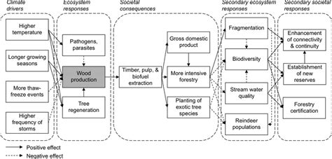 Conceptual Model Of The Cause And Effect Relationships Expected As A Download Scientific