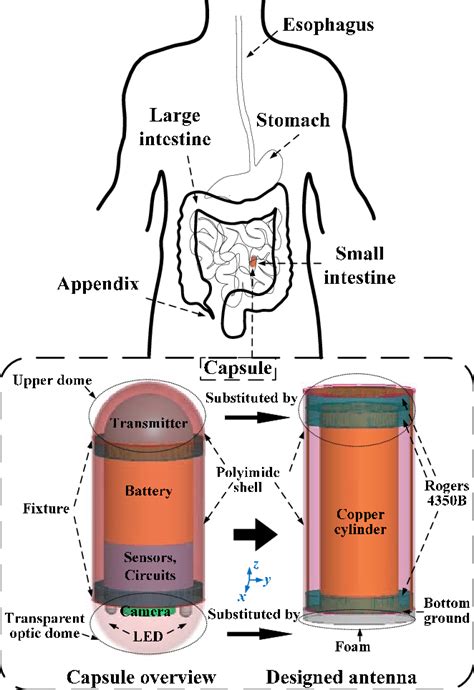 Simplified Schematic For Wireless Capsule Endoscopy System And Its Download Scientific Diagram