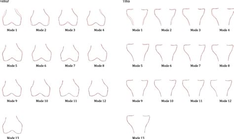 Illustrations Of All Modes For Distal Femur And Proximal Tibia Bone Download Scientific