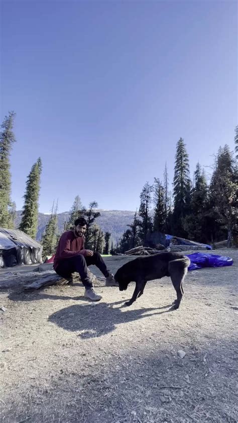 Aditya Dalvi Goa 🌅 Adit Dalvi • Instagram Photos And Videos