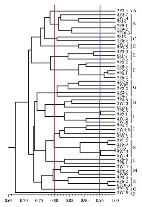 Eric Pcr Profiles Of 50 Integron Positive Isolates A Electrophoresis