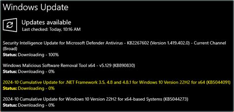 Kb5044091 Cumulative Update Net Framework 35 48 And 481 22h2 Windows Update Windows