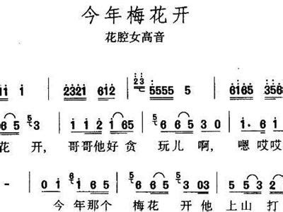 今年梅花开 花腔女高音 东北民歌 歌谱 简谱