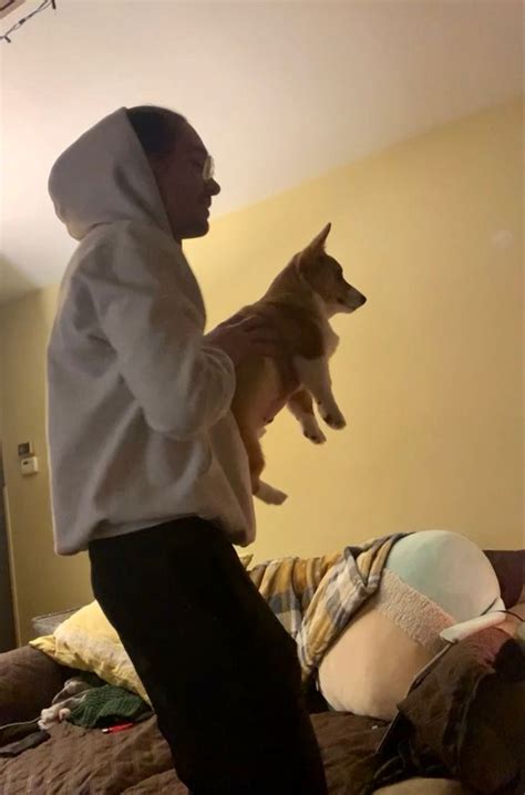 Пин от пользователя P на доске Милые щенки Милые щенки Корги Щенки