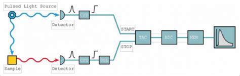 Tcspc What Is Time Correlated Single Photon Counting